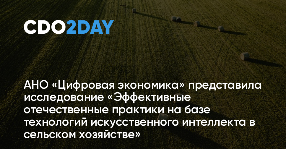 Аналитика — CDO2DAY